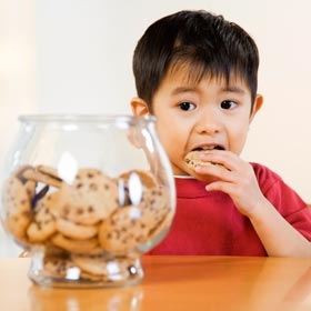 Shepherd’s Cookies